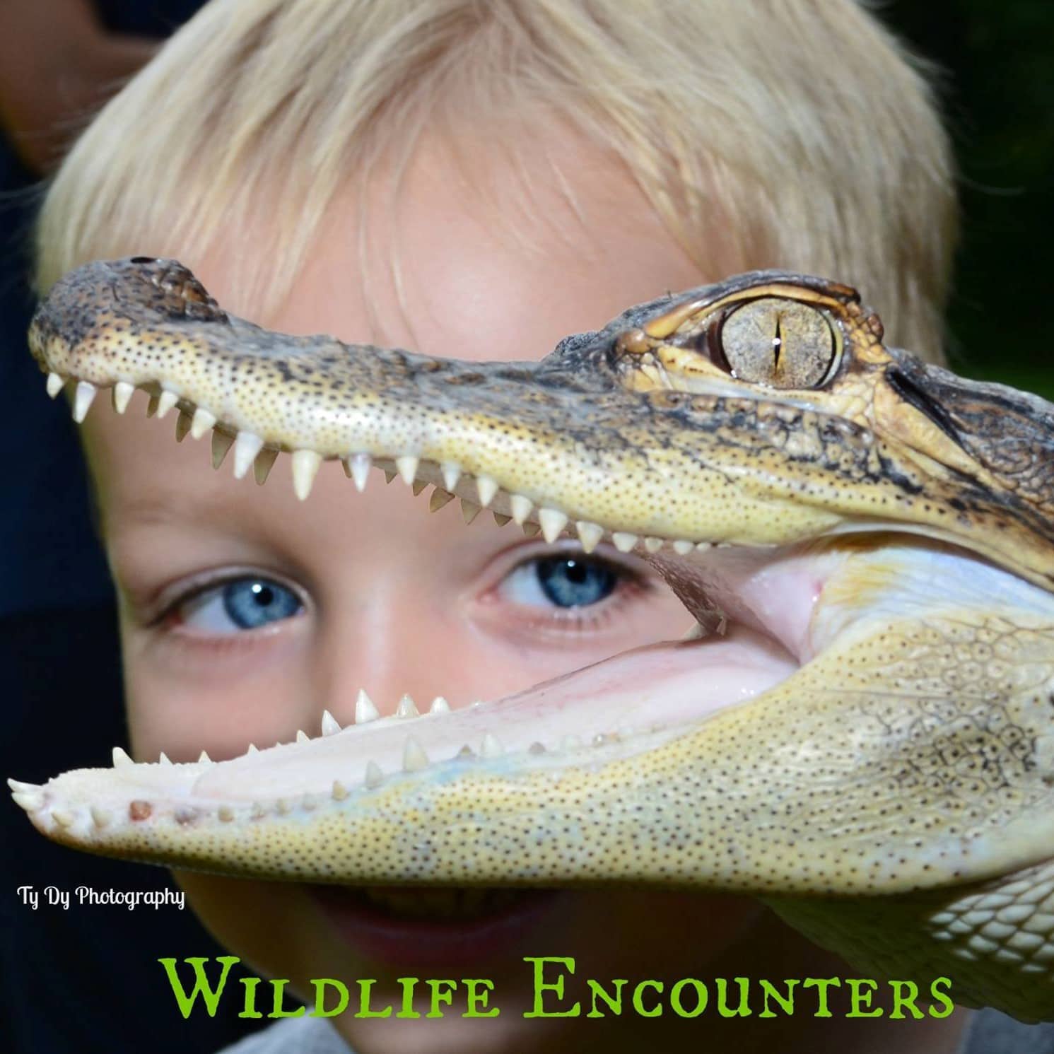 Children's Room | Littleton, MA